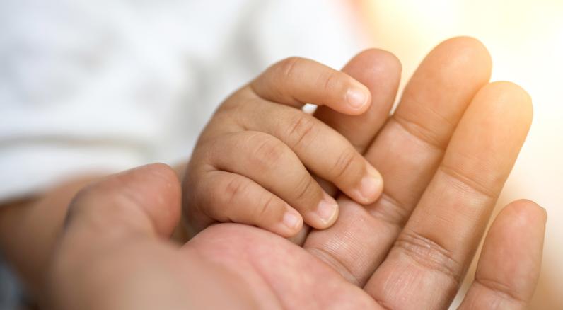 5 Takeaways From a Discussion of Alternatives to Fetal Tissue Research ...