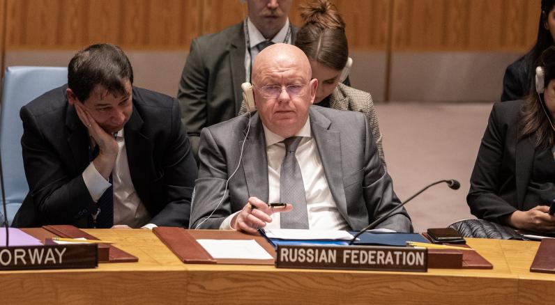 A Narrow Path to Reforming the U.N. Security Council | The Heritage ...