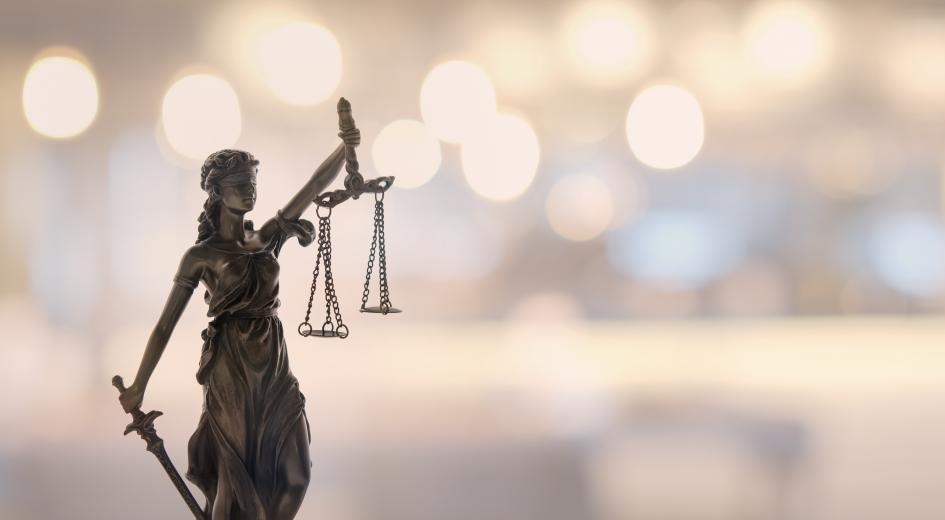 POSTPONED: The Future of Criminal Justice Reform: Prospects for Reform ...