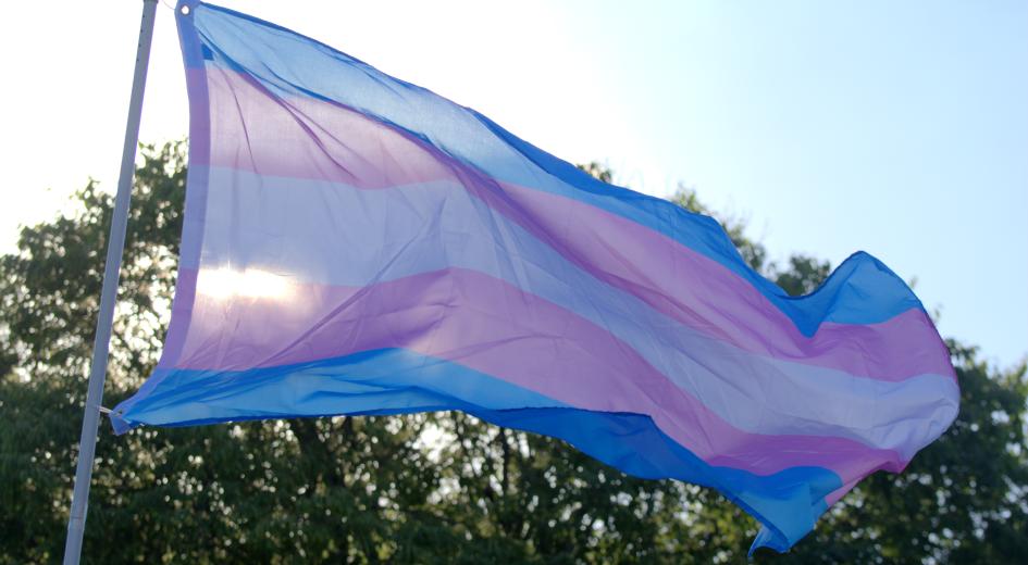 Radical Agenda Eclipses Women at the U.N.’s Commission on the Status of ...