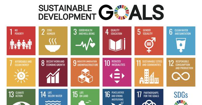 The United Nations’ Agenda 2030 and the Sustainable Development Goals ...