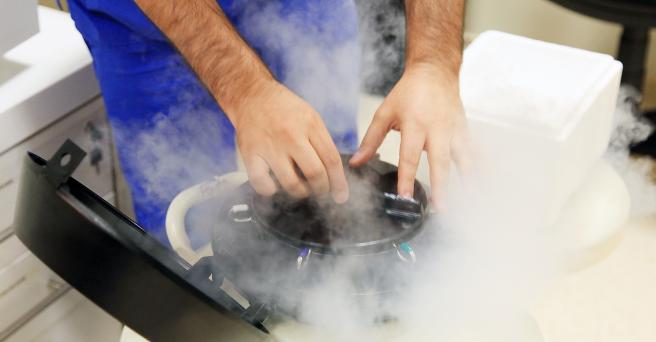 Alabama Rules That Embryos Are Children | The Heritage Foundation