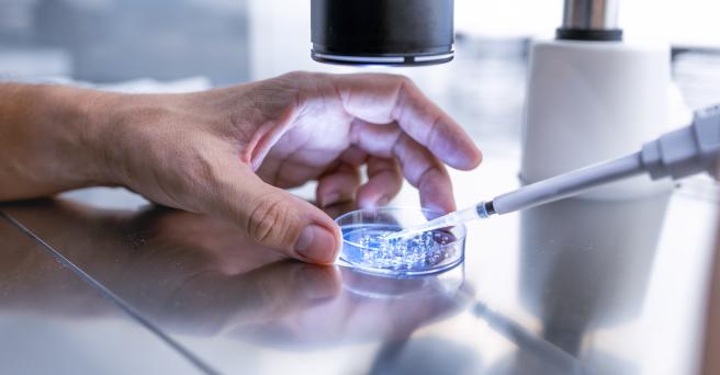 Designer Embryos and Kids Born From the DNA of Throuple Parents ...