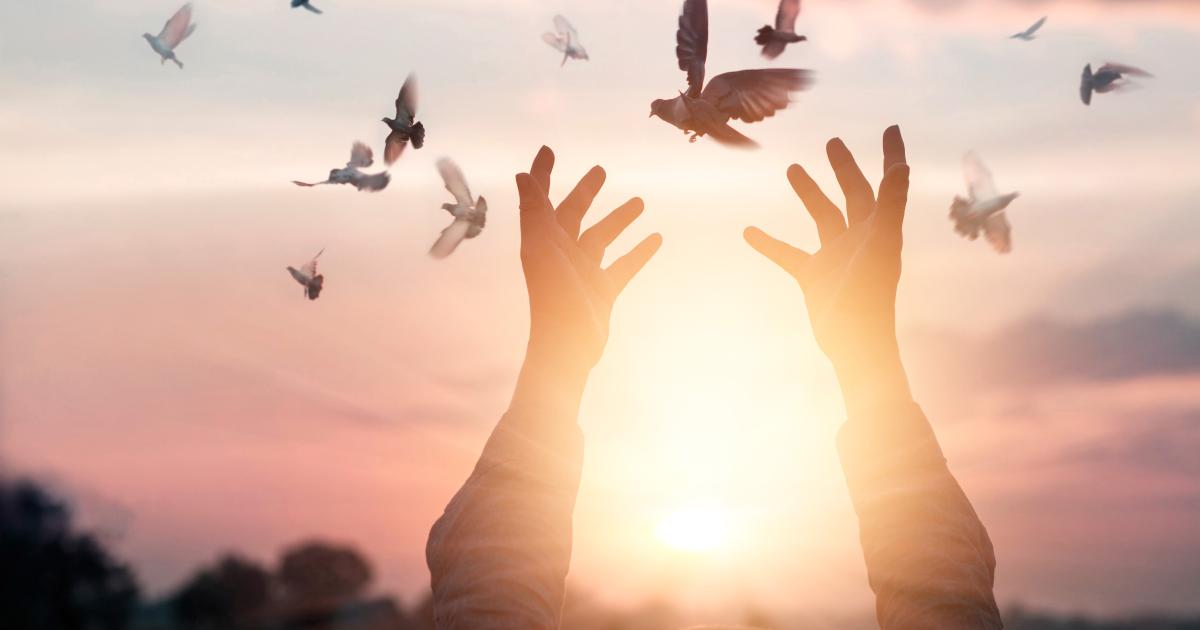 The Debasement of Human Rights: How Politics Sabotage the Ideal of ...