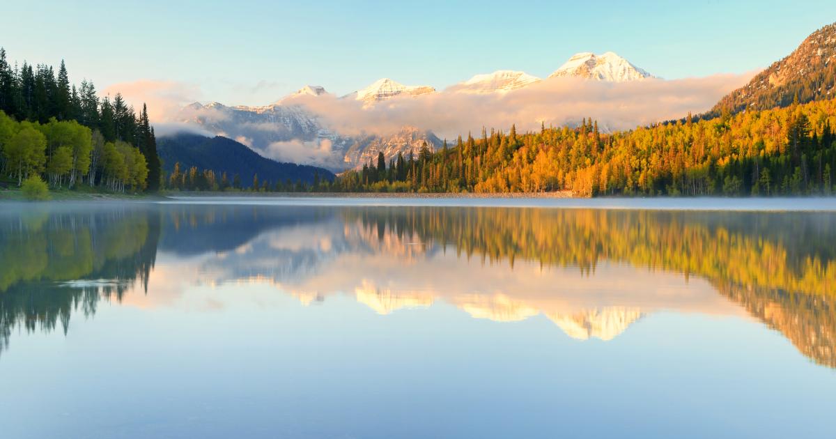 Assessing the Trump Administration’s “Navigable Waters Protection Rule ...