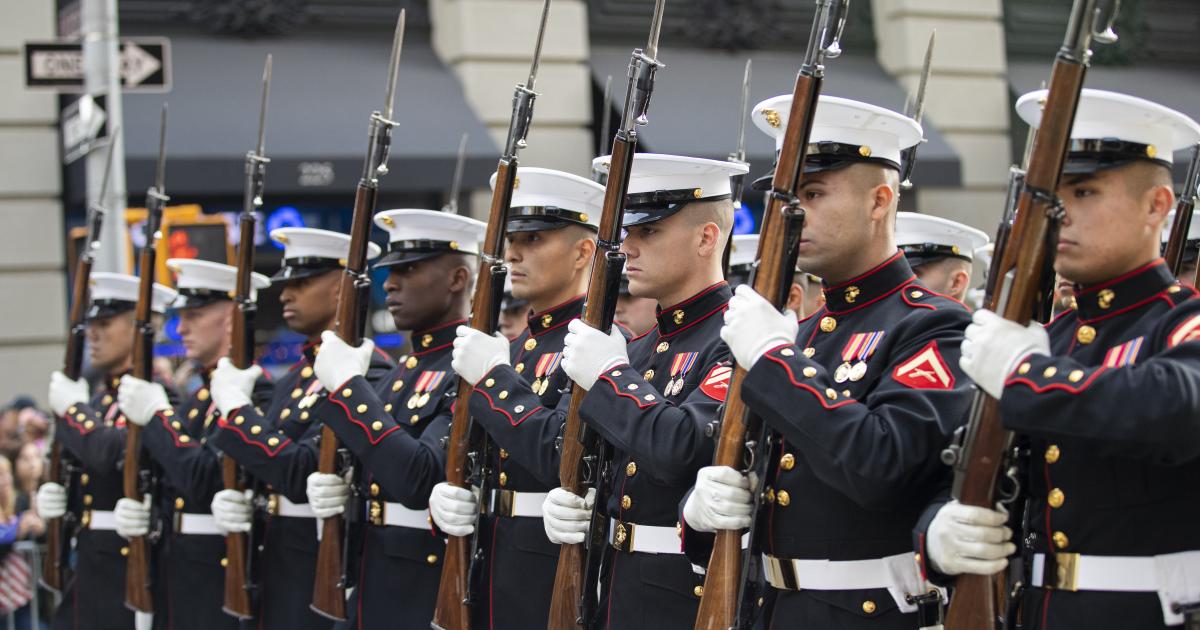 Why Vets’ Service Is Worthy of Reflection on Veterans Day—and the Rest ...